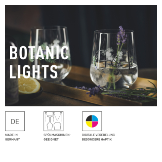 Ritzenhoff Botanic Lights Ginglas-Set Ritzenhoff Design Team 3891001 ...