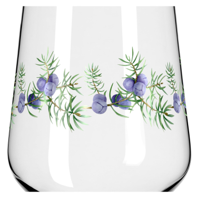 Ritzenhoff Botanic Lights Ginglas-Set Ritzenhoff Design Team 3891001 ...